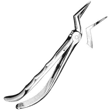 Sklar Dental Extracting Forceps #79GH - 49-4200