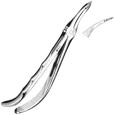 Sklar Dental Extracting Forceps #89GH - 49-4230