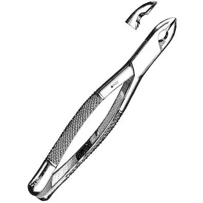 Sklar Dental Extracting Forceps #99C - 49-4250